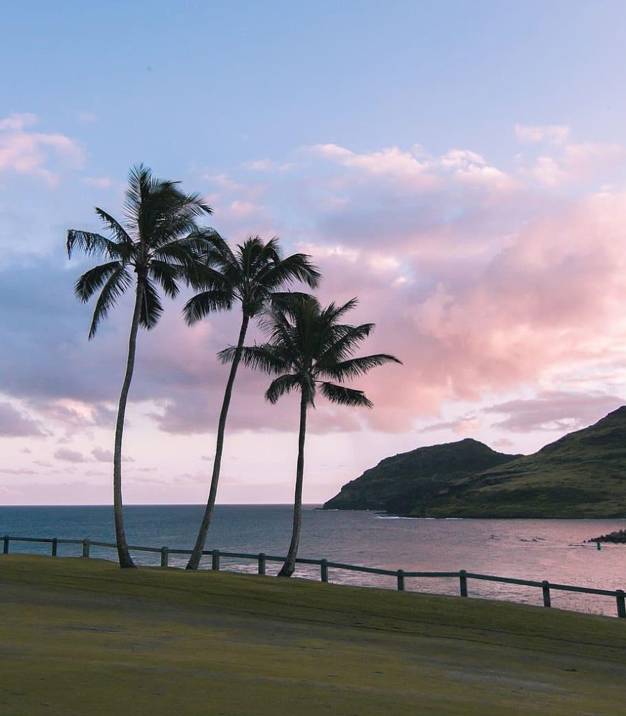 Hawaii Tax Filings - General Excise Tax (GET) Support Hawaii